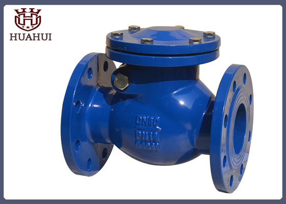 Swing Double Flanged Check Valve Brass Seat With Heavy Weight Custom Color