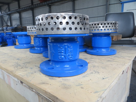 Flanged Silent Foot Check Valve Ss304 Strainer DN150 With EN1092 Standard