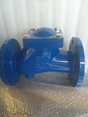 Rubber Ball Flanged Check Valve Automatic Type PN10 Working Pressure For Sewage