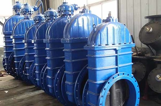 12 Inch Water Line Gate Valve , Rubber Double Disc Gate Valve No Rising Stem