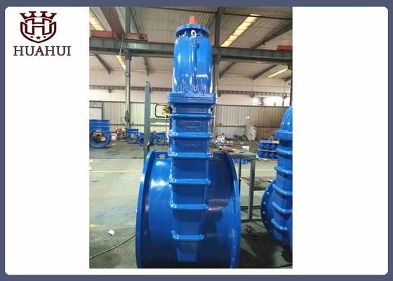 Double flange resilient seated gate valve with cap or handwheel Big size