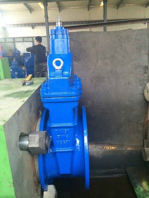 Double Flanged Resilient Seated Gate Valve Gearbox Operated DN600 For Fire Protection
