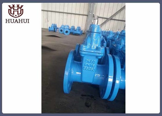 DIN3352 F4 RAL5005 resilient seated gate valve double flange  DN50-DN1200