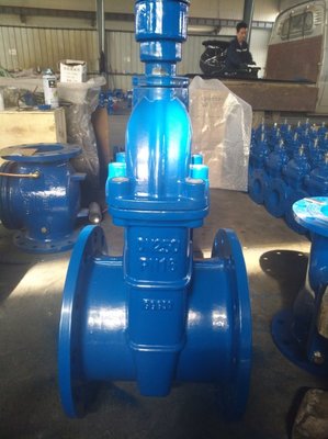 DIN3352 F4 RAL5005 resilient seated gate valve double flange  DN50-DN1200