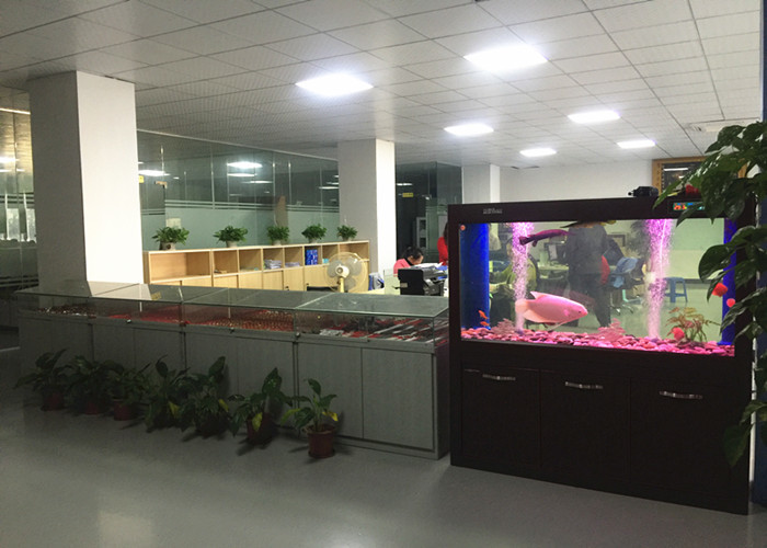 China DongGuan TopGain Communication Technology Co ., Ltd company profile