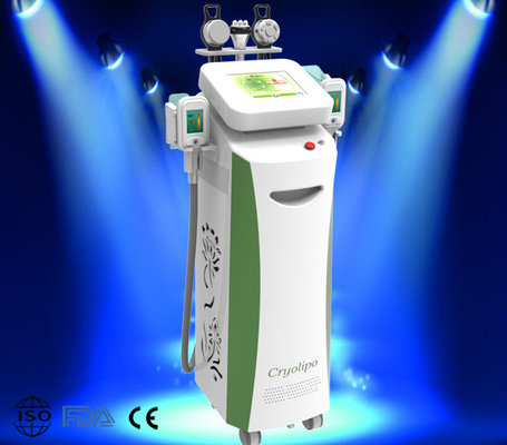 fast cold cryolipolysis body slimming machine;zeltiq cryolipolysis;cryolipolysis fat remov