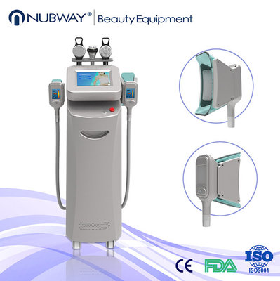 cryolipolysis fat removal,cryolipolysis fat burning machine,cryolipolysis cryotherapy beau