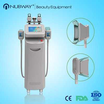 Newest fda approval cryolipolysis slimming machine / cool fat freeze slimming machine with different size 5 treatment ha