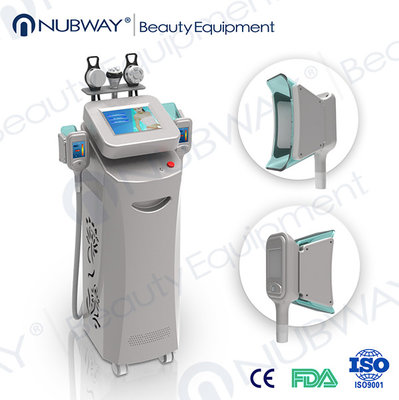 New Style RF Cavitation Pulse Cryolipolysis Fat Freeze Slimming Machine for fat loss