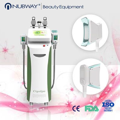 2016 Hot Sell Beauty Product RF & Cryolipolysys fat freeze body slimming device