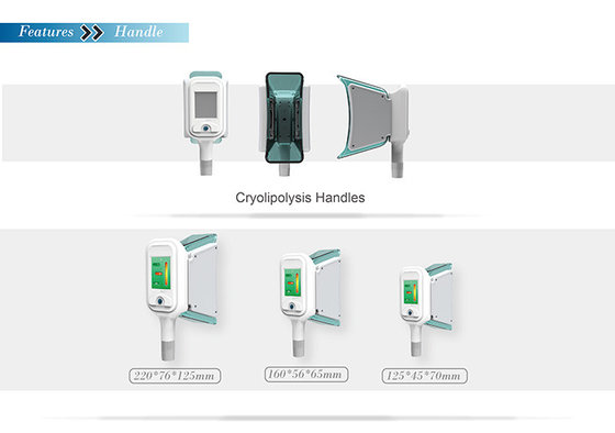 2016 new product fat freeze cryolipolysis body slimming machine with CE