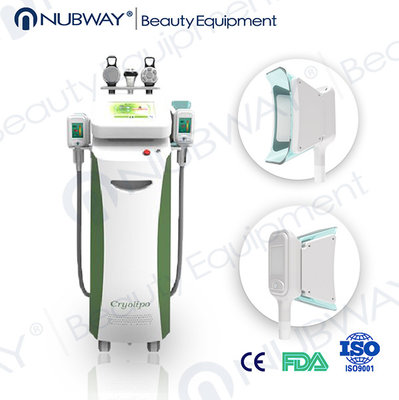 2016 New technology beauty equipment body sculpting cryotherapy slimming machine
