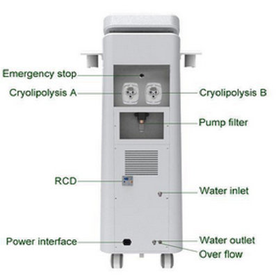 5 handles fat freezing cryolipolysis slimming machine for fat reduction and skin tightening from China supplier