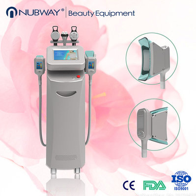 Best Salon Use 5 handles Cryolipolysis fat freeze Machine with medical CE certificate