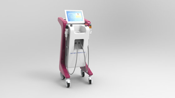 Modern fashionable beauty fractional rf microneedle machine for stretch mark removal