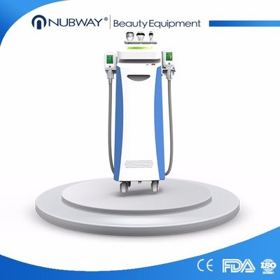 Multi-Functional beauty equipment 10.4 inch touch screen fat freezing machine cryolipolysis