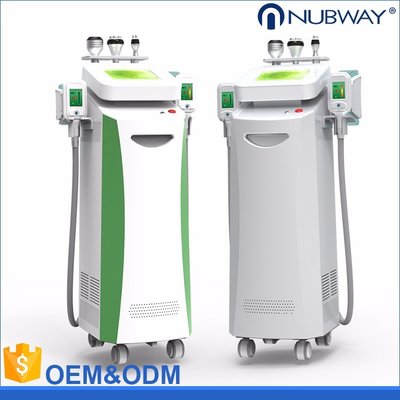 5 Handpieces cold lipolysis criolipolisis 2017 body weight loss sculpting slimming freeze fat cryolipolysis machine for