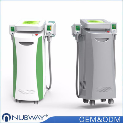 2 Handpieces cold lipolysis criolipolisis 2017 body weight loss sculpting slimming freeze fat cryolipolysis machine