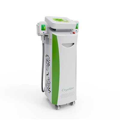 2 Handpieces cold lipolysis criolipolisis 2017 body weight loss sculpting slimming freeze fat cryolipolysis machine