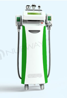 5 Handpieces cold lipolysis criolipolisis 2017 body weight loss sculpting slimming freeze fat cryolipolysis machine