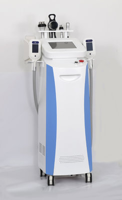 5 Handpieces cold lipolysis criolipolisis 2017 body weight loss sculpting slimming freeze fat cryolipolysis machine
