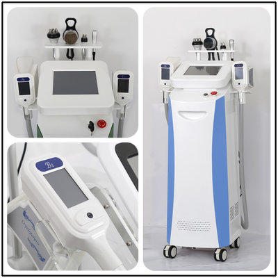 Beauty Equipment Cryolipo fat freezing+rf+cavitation cryolipolysis weight loss machine with 3 years warranty