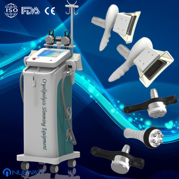 Newest cellulite reduction device Cryolipolysis weight loss machine for body shape slim