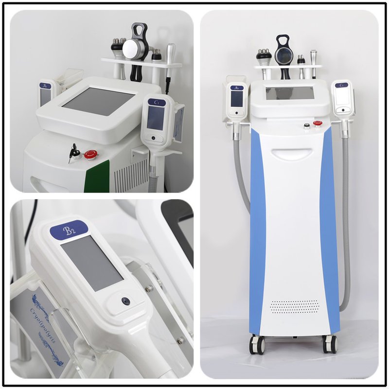 5 Handpieces cold lipolysis criolipolisis 2017 body weight loss sculpting slimming freeze fat cryolipolysis machine