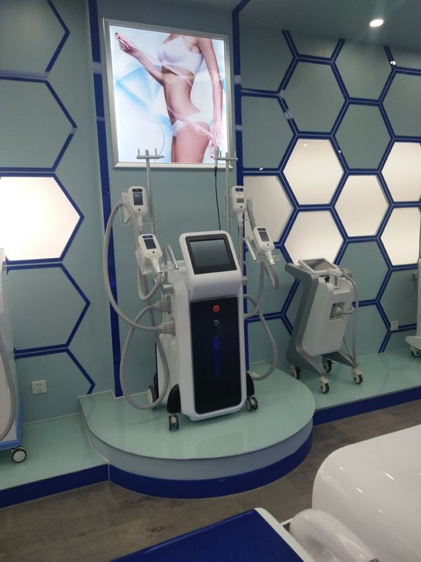 2018 4 Cryo handles Fat freezing cryolipolysa cold body sculpting slimming machine for sale