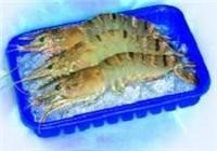 Fresh Meat Blister Packaging Food Grade PVC Sheet / Film ISO9001 / GMP