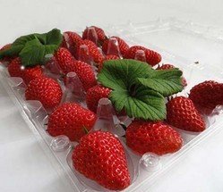 Glossy fruit Food Grade PVC Sheet PVC Blister Film 0.8mm-0.1mm Thickness