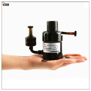 24 Volt Variable Speed Small Compressor for Micro Refrigeration System