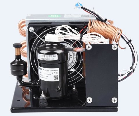 12V DC Powerful Direct Refrigration Condensing Unit for Freezing