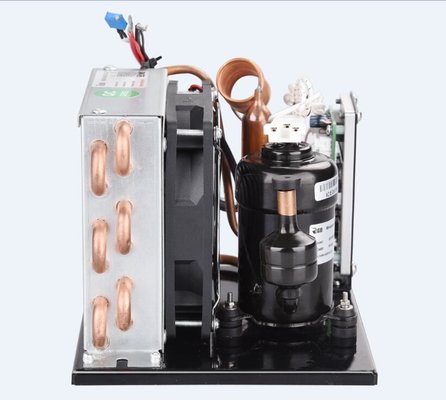12V DC Powerful Direct Refrigration Condensing Unit for Freezing