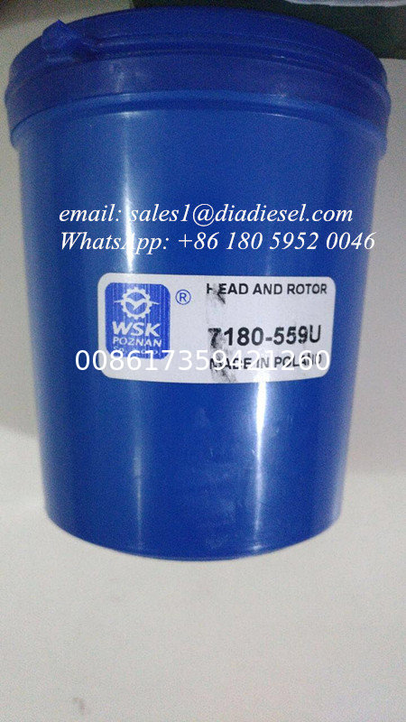 High Quality Diesel Injection parts-head rotor 7180-559U