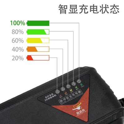 lead acid battery smart charger with auto turn off function 48v 12ah 48v 20ah 48v 32ah 60v 20ah