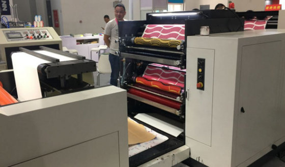 2 Colors Disposable Paper Cup Flexo Printing Machine / Punching Machine FD920