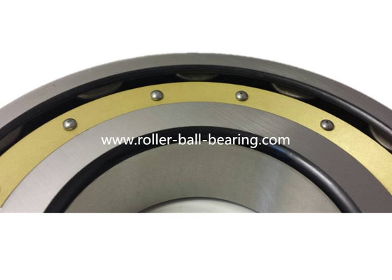 Chrome Steel Double Lock Ring Without Outer Side Flange Cylindrical Roller Bearing 45*100*25