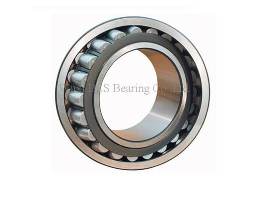Spherical Roller Bearings Bs2-2220-2CS Support P0 P6 P5 P4 P2