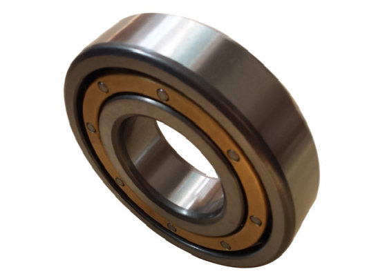 61900X1-2ZWBV/YB1 Deep Groove Ball Bearings 10×23×6mm for Electric Machine / Water Pump / Agricultural Machinery
