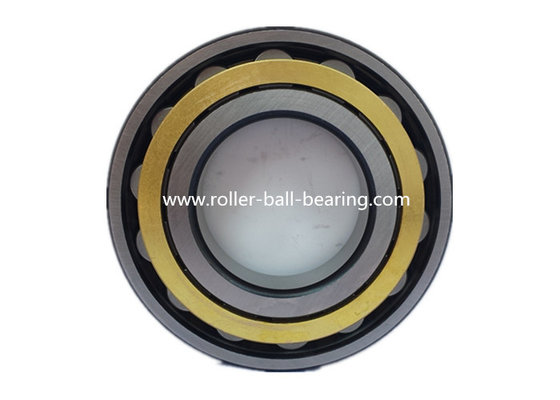 Bearing Steel Cooper Retainer Cylindrical Roller Bearing  With Guard In Inner Ring , 95*145*24