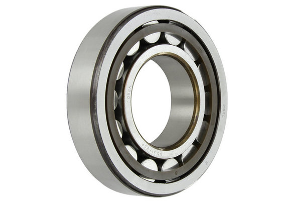 Nylon Retainer Cylindrical Roller Bearing High Speed for Radial Load 95*200*45