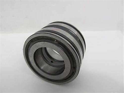 INA SL045005-PP Double Row Cylindrical Roller Bearing Souble Sealed Oil Hole 9000 RPM Max