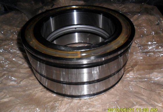 Size 20x42x30 mm Doule Row Cylindrical Roller Bearing SL045004PP
