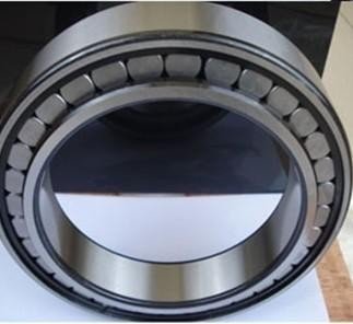 SL04130PP Cylindrical Roller Bearings 319426 DA-2LS 130x190x80 mm