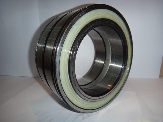 SL Series Cylindrical Roller Bearing SL045005PP 25x47x30 mm