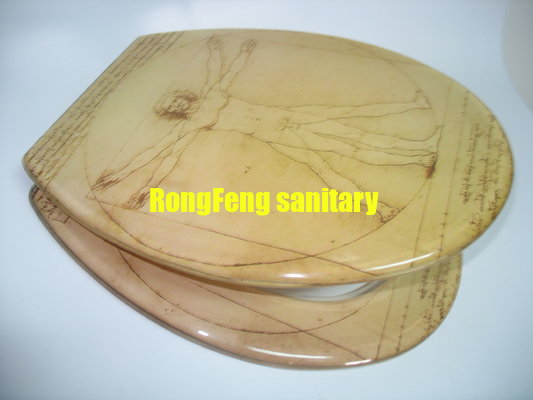resin toilet seat,17'18'19',zinc alloy hinge,S/S hinge,soft close hinge