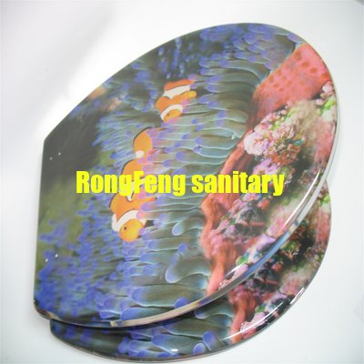 resin toilet seat ,18',round,enlong,color,
