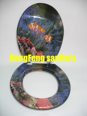 resin toilet seat ,18',round,enlong,color,