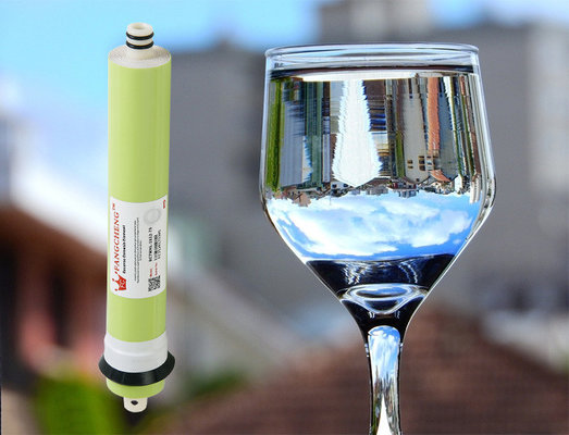 0.0001 Micron Reverse Osmosis Membrane Element For Household Drinking Water System